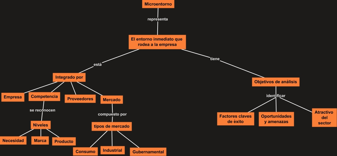 Mapa Conceptual Microentorno final - ¿qué es el microentorno?